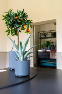 Weltkulturerbe in Parks und Gärten: ein Wochenende in Weimar | julie ...