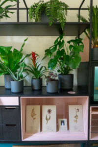 Weltkulturerbe in Parks und Gärten: ein Wochenende in Weimar | julie ...